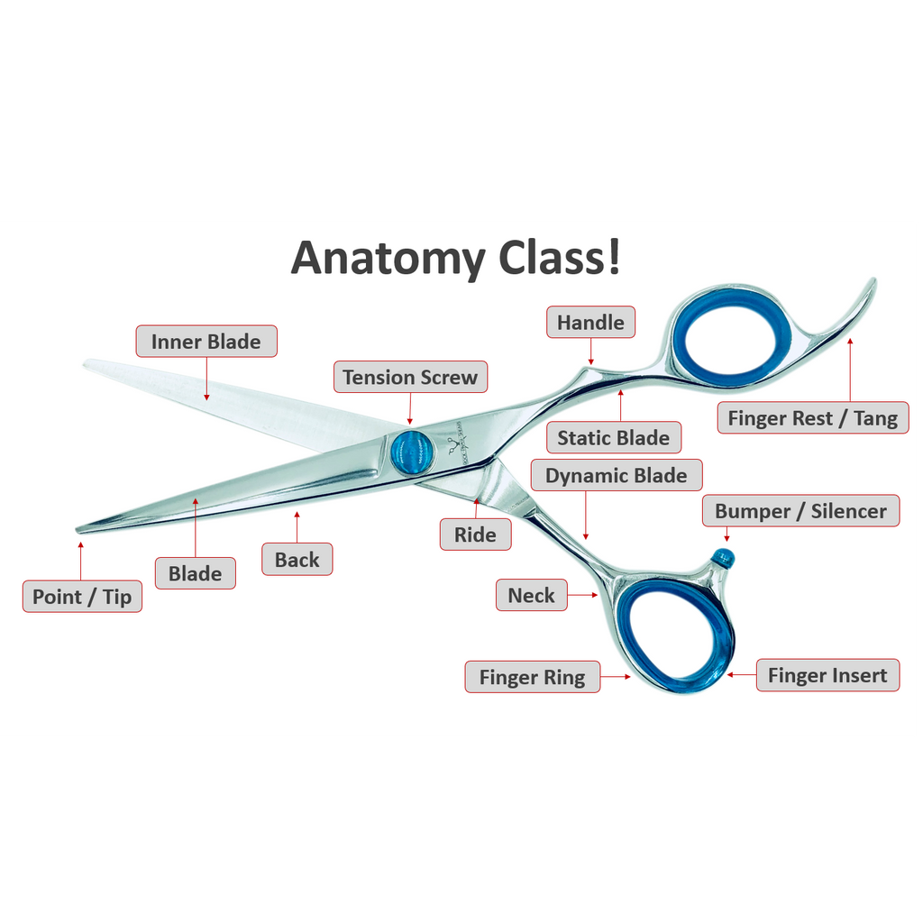 Anatomy of a Beauty Shear – Rock Paper Shears